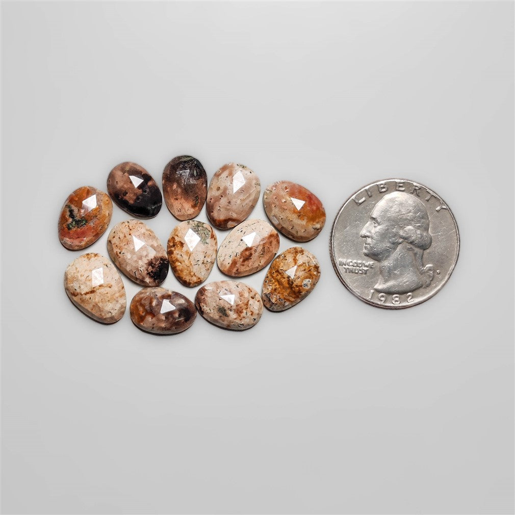 Rose Cut Indonesian Palmroot Agates Lot – Lapidaryartist